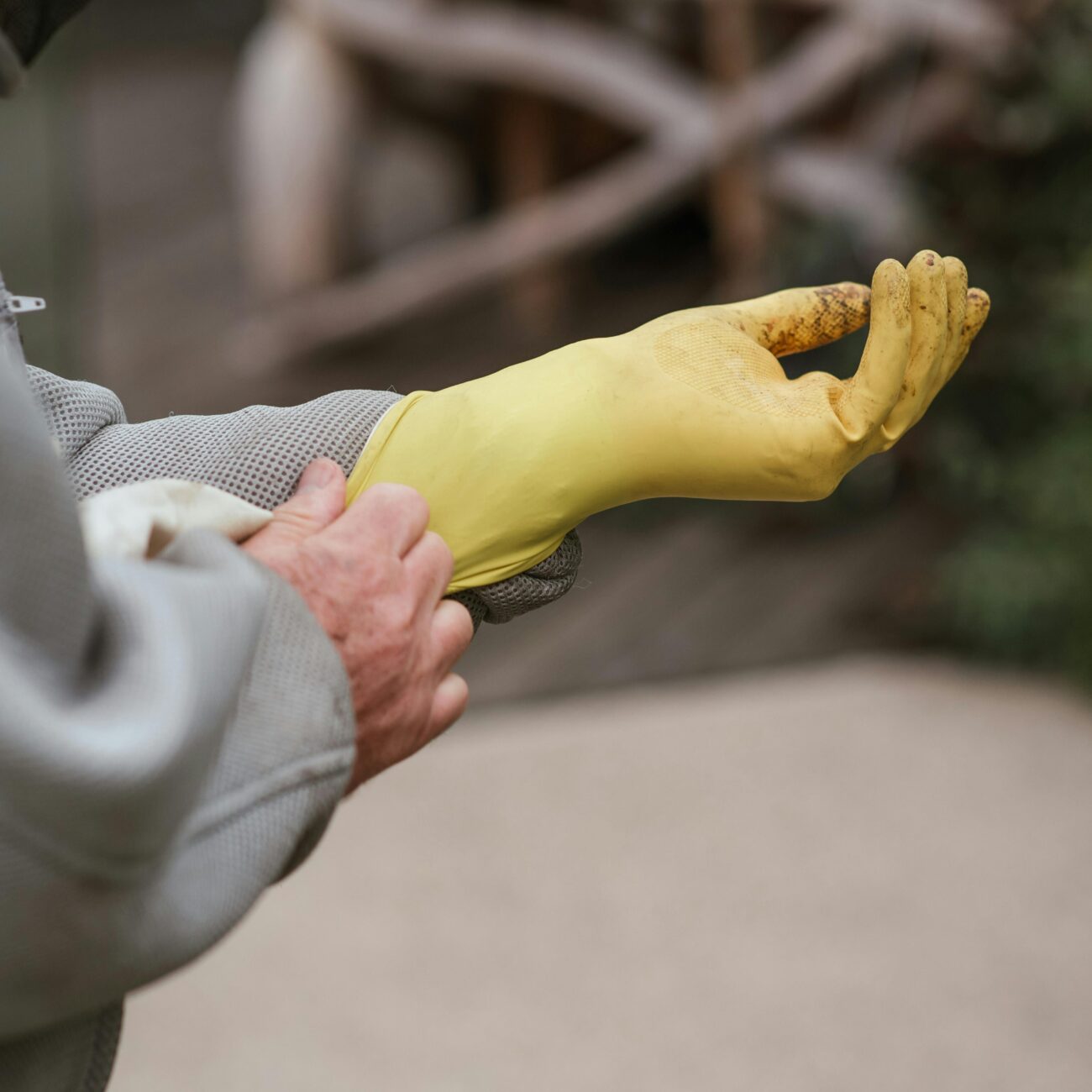 8 Common Beehive Pests and Effective Prevention Tips for Beekeepers