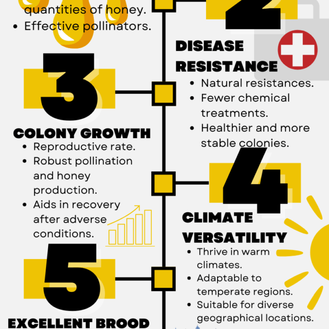 The 19 Best Forage Plants for Bees: A Comprehensive Guide