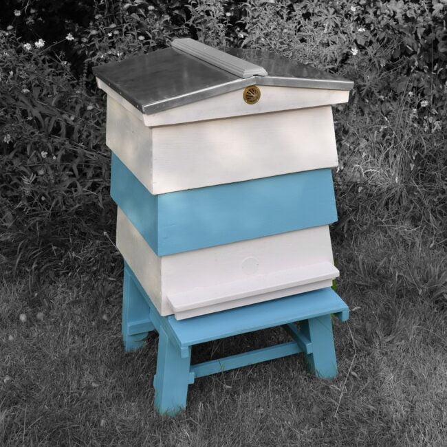 6 Types of Hives - Bee Keeping - Proven Apiculture Practices